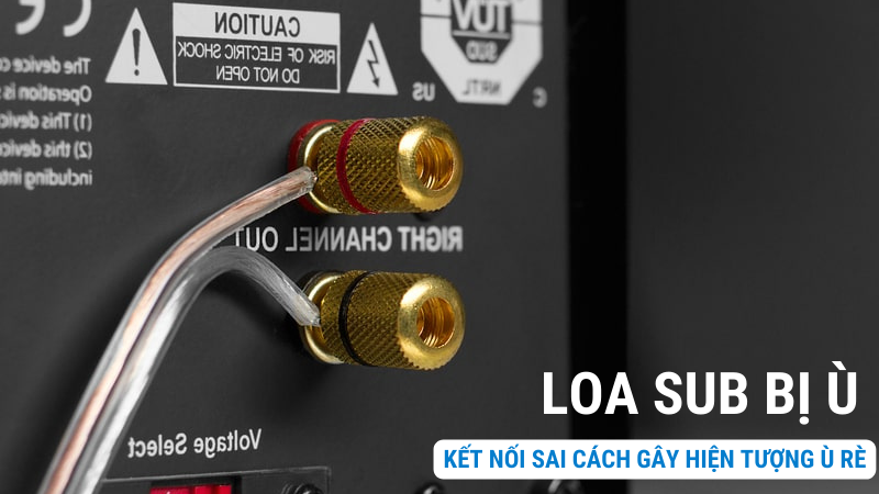 Loa Sub bị Ù, RÈ, SÔI TIẾNG? Nguyên nhân và cách khắc phục cực đơn giản